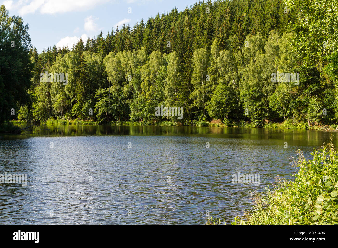 Altbergbau im unterharz hi-res stock photography and images - Alamy