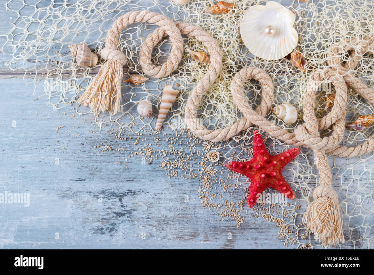 sea shells in a fishnet Stock Photo - Alamy