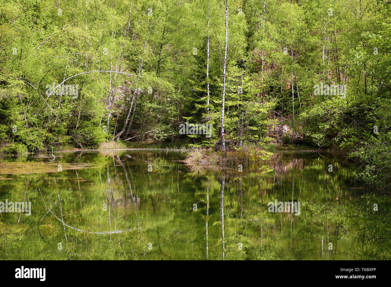 Sea reflection ponds hi-res stock photography and images - Alamy
