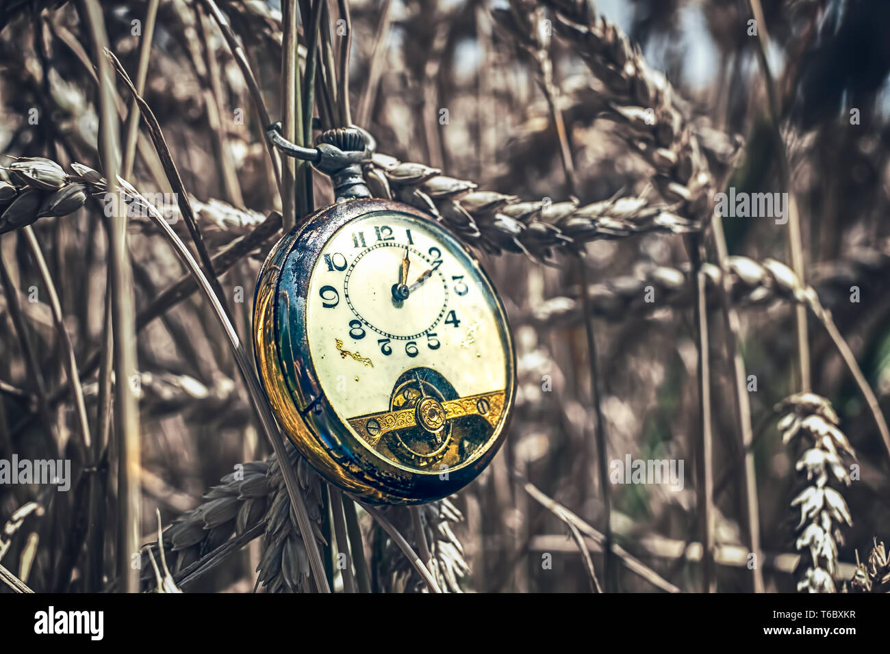 Broken watch hi-res stock photography and images - Alamy