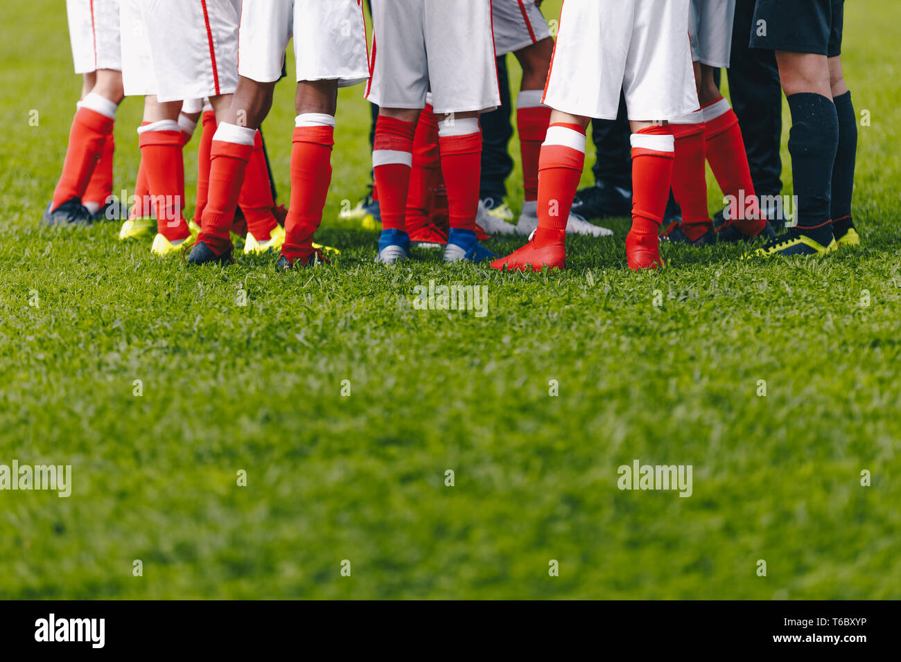 Junior Soccer Team Standing in Group. Football Grass Field and Players ...