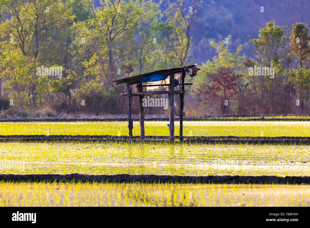 Rural area of nepal hi-res stock photography and images - Alamy