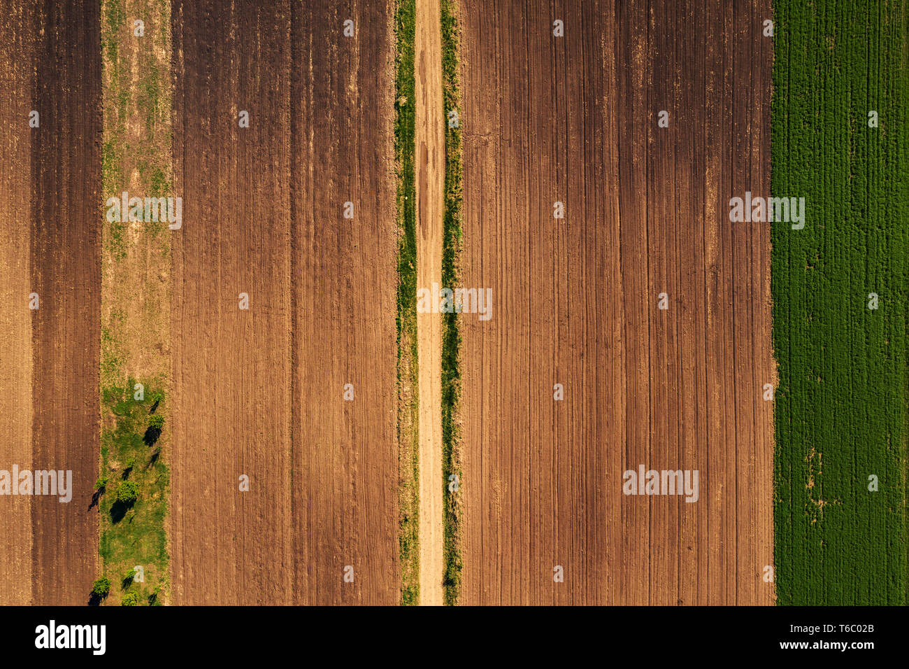 Aerial view of dirt road through agricultural field top down view from ...