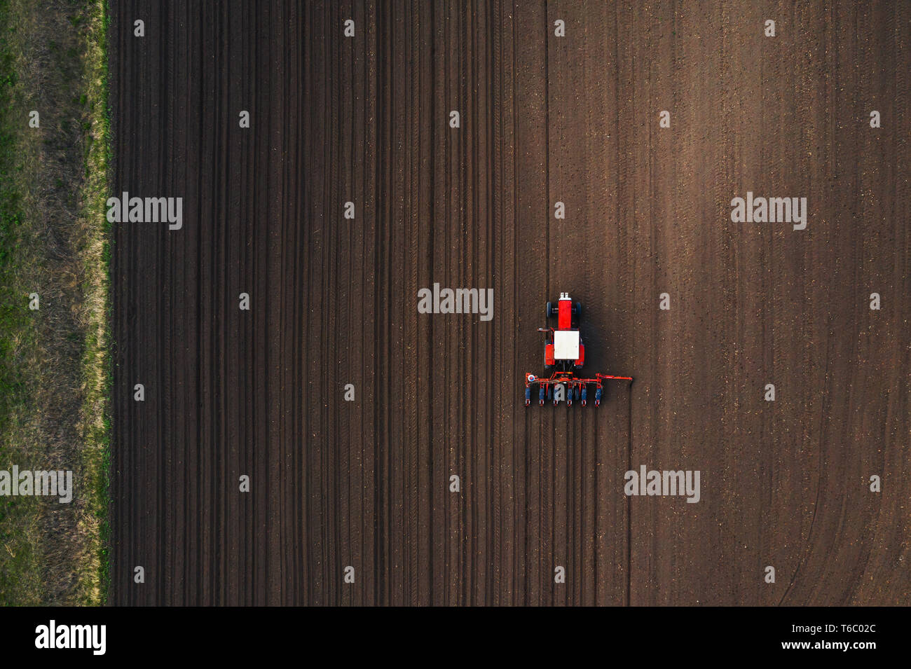 Top view of tractor planting corn seed in field, high angle view drone ...