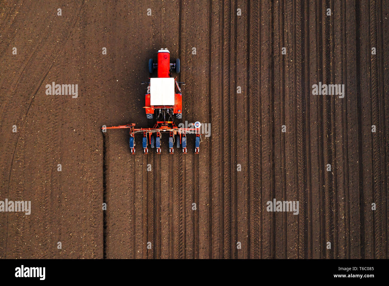 Aerial view of tractor with mounted seeder performing direct seeding of ...