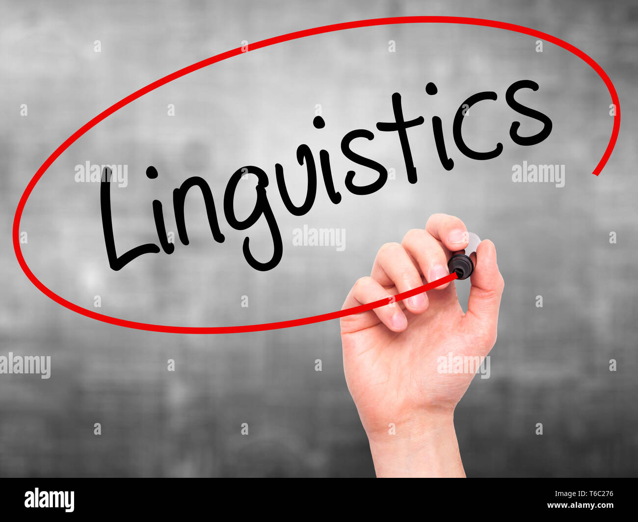 Linguistic intelligence hi-res stock photography and images - Alamy