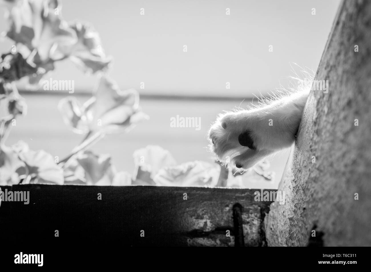 Soaking up sunshine Black and White Stock Photos & Images - Alamy