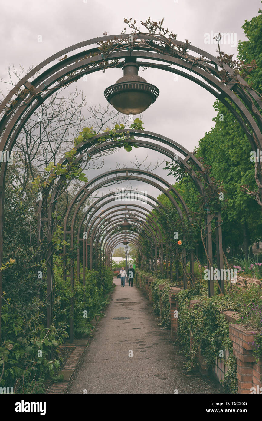 Arch with vines in a park in Paris Stock Photo - Alamy