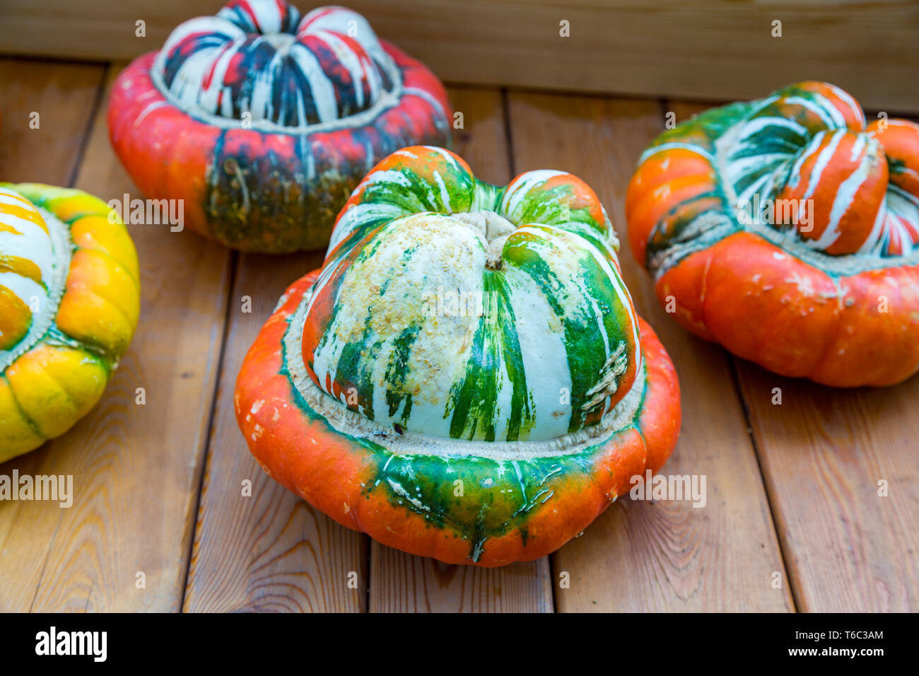 Large pumpkin fruit Stock Photo - Alamy