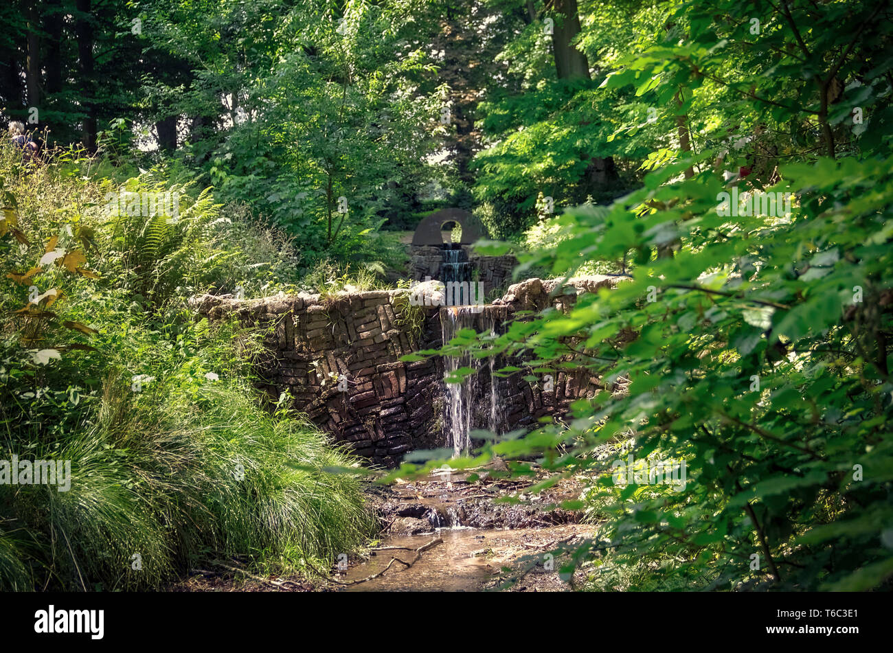 Dutch wilderness hi-res stock photography and images - Alamy