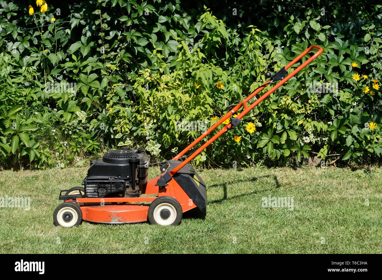 Ground mower hi-res stock photography and images - Alamy