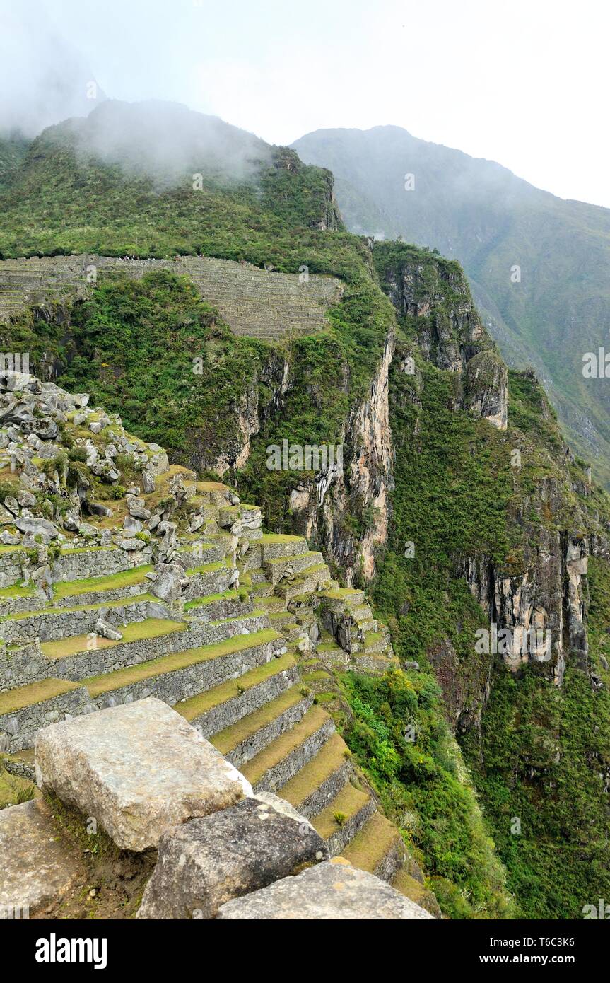 the steep terraces in Machu Picchu Peru Stock Photo - Alamy