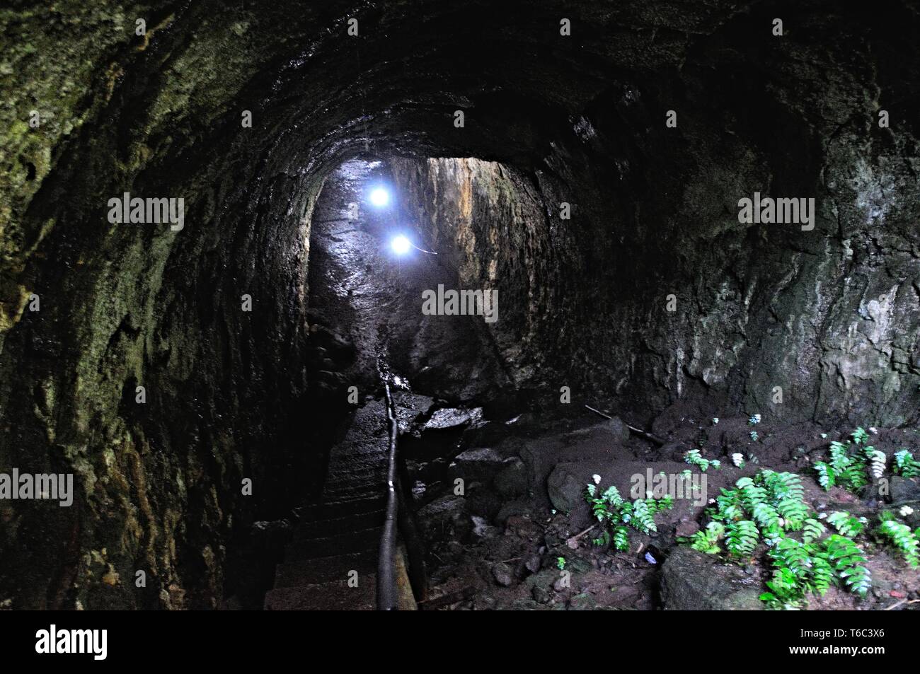 Entrance lava cave Santa Cruz Galapagos Islands Ecuador Stock Photo - Alamy
