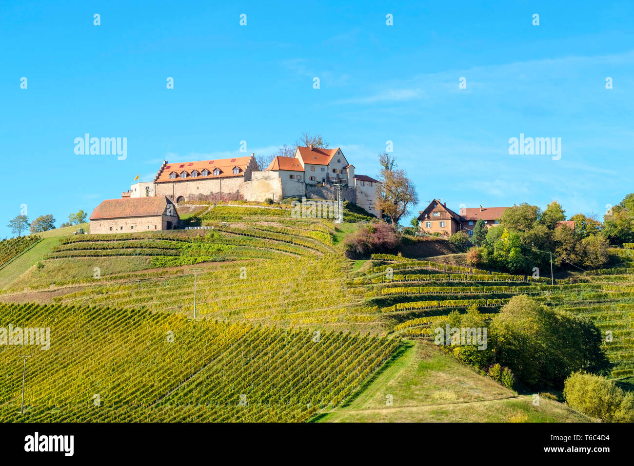 Schloss Staufenberg castle surrounded by vineyards, Durbach, Baden ...