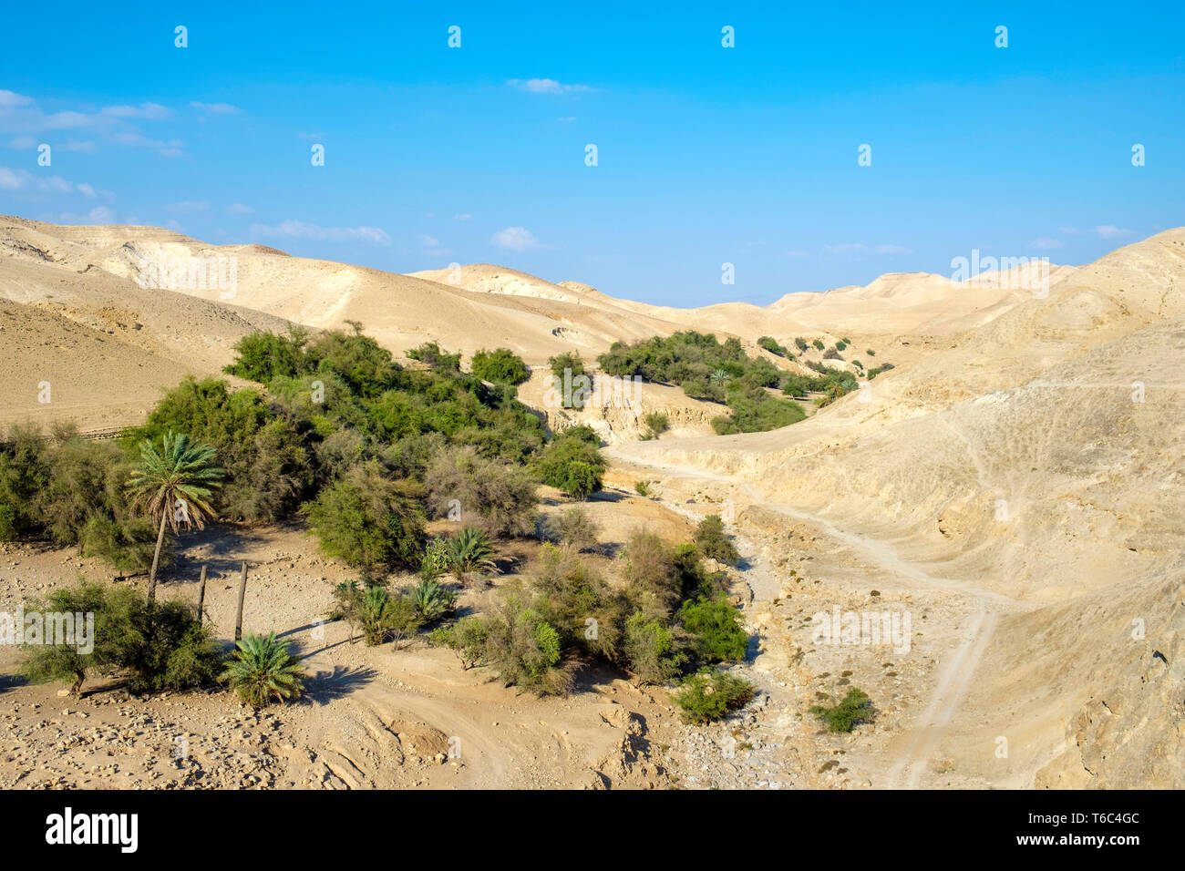 El qult hi-res stock photography and images - Alamy