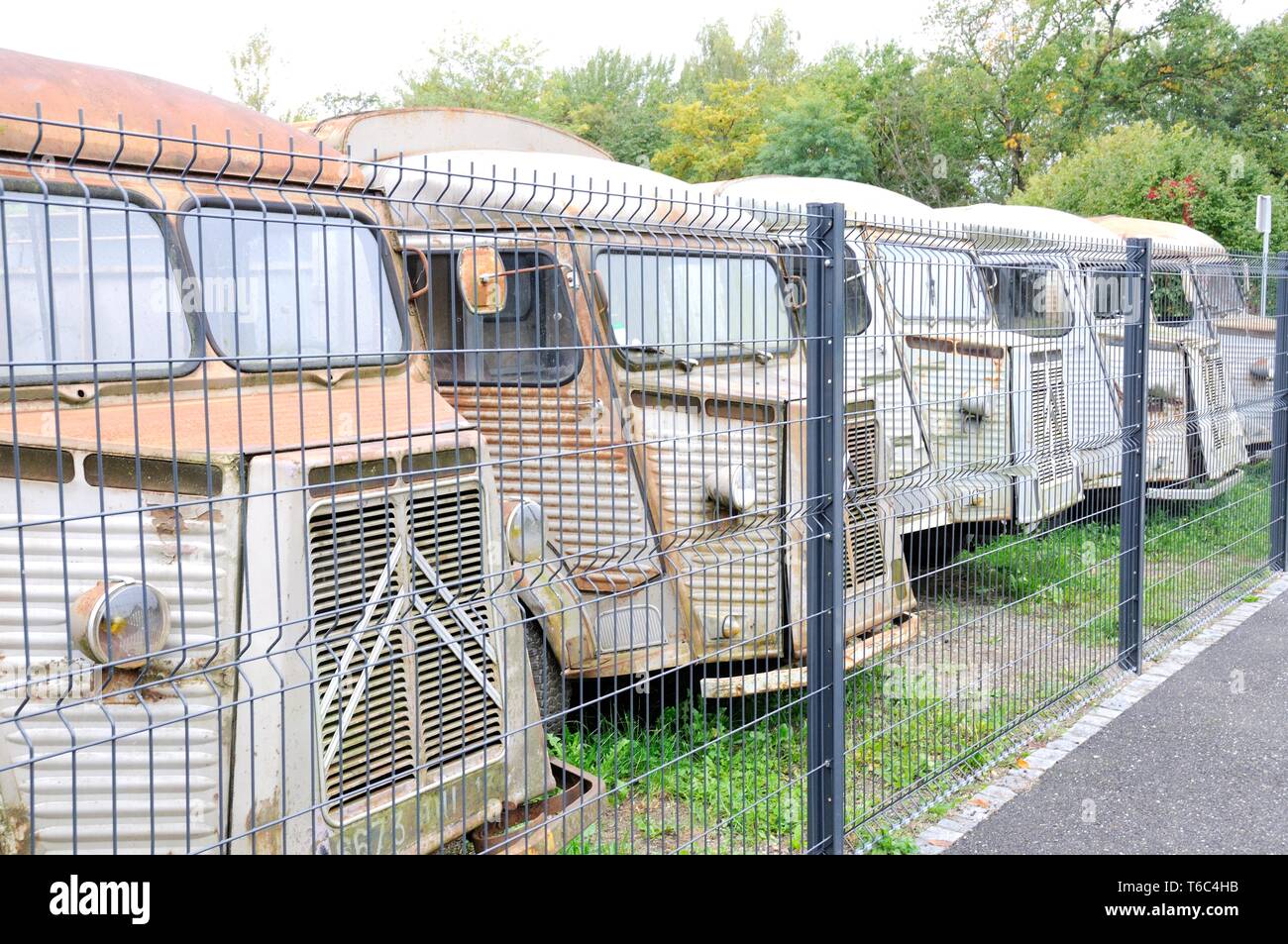 Beauties hi-res stock photography and images - Alamy