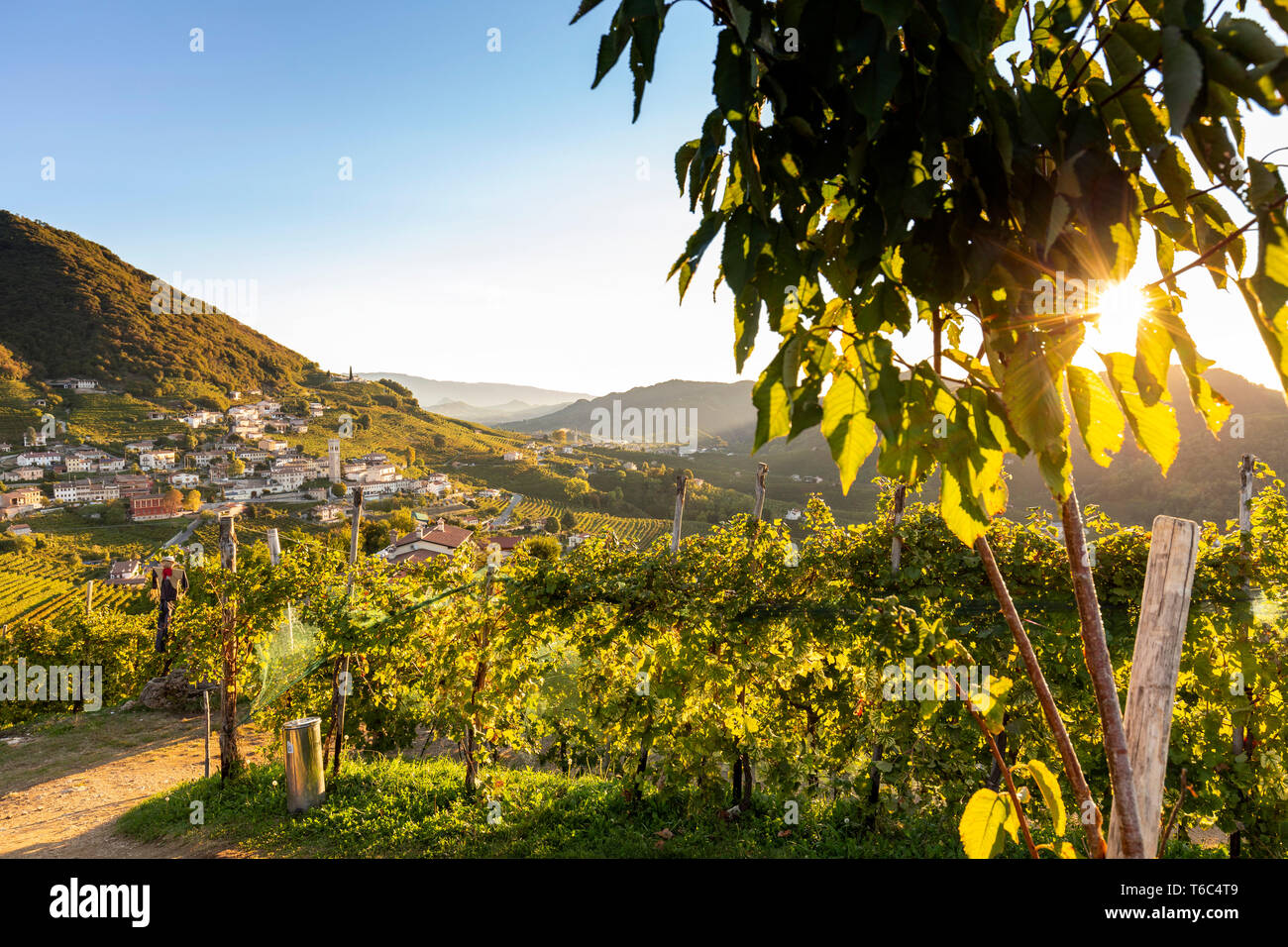 Italy, Veneto. Prosecco Road. Treviso district. Follo, vineyards of ...