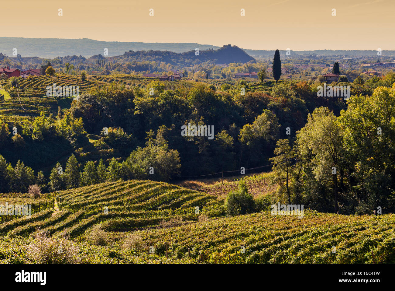 Valdobbiadene the prosecco vineyards hi-res stock photography and ...