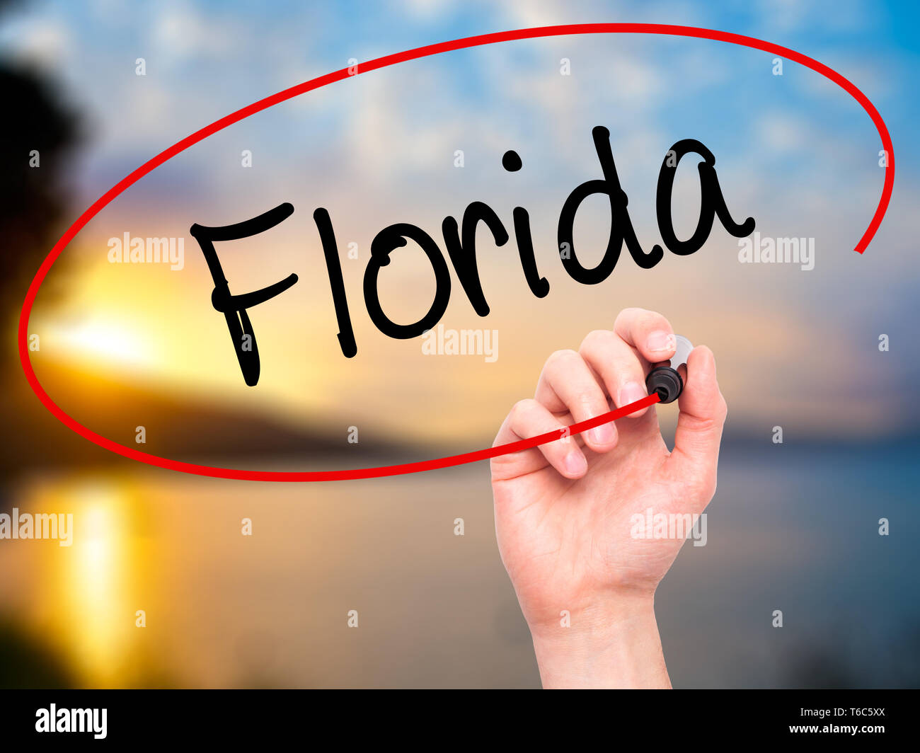 Orlando beach holiday hi-res stock photography and images - Alamy