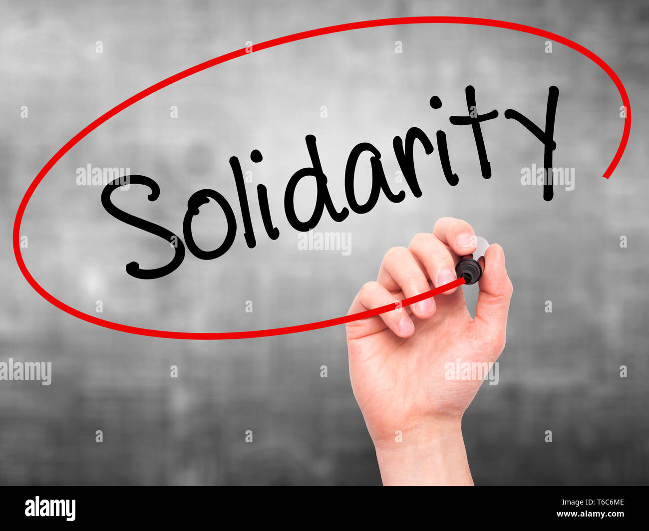 Man Hand writing Solidarity with black marker on visual screen Stock ...
