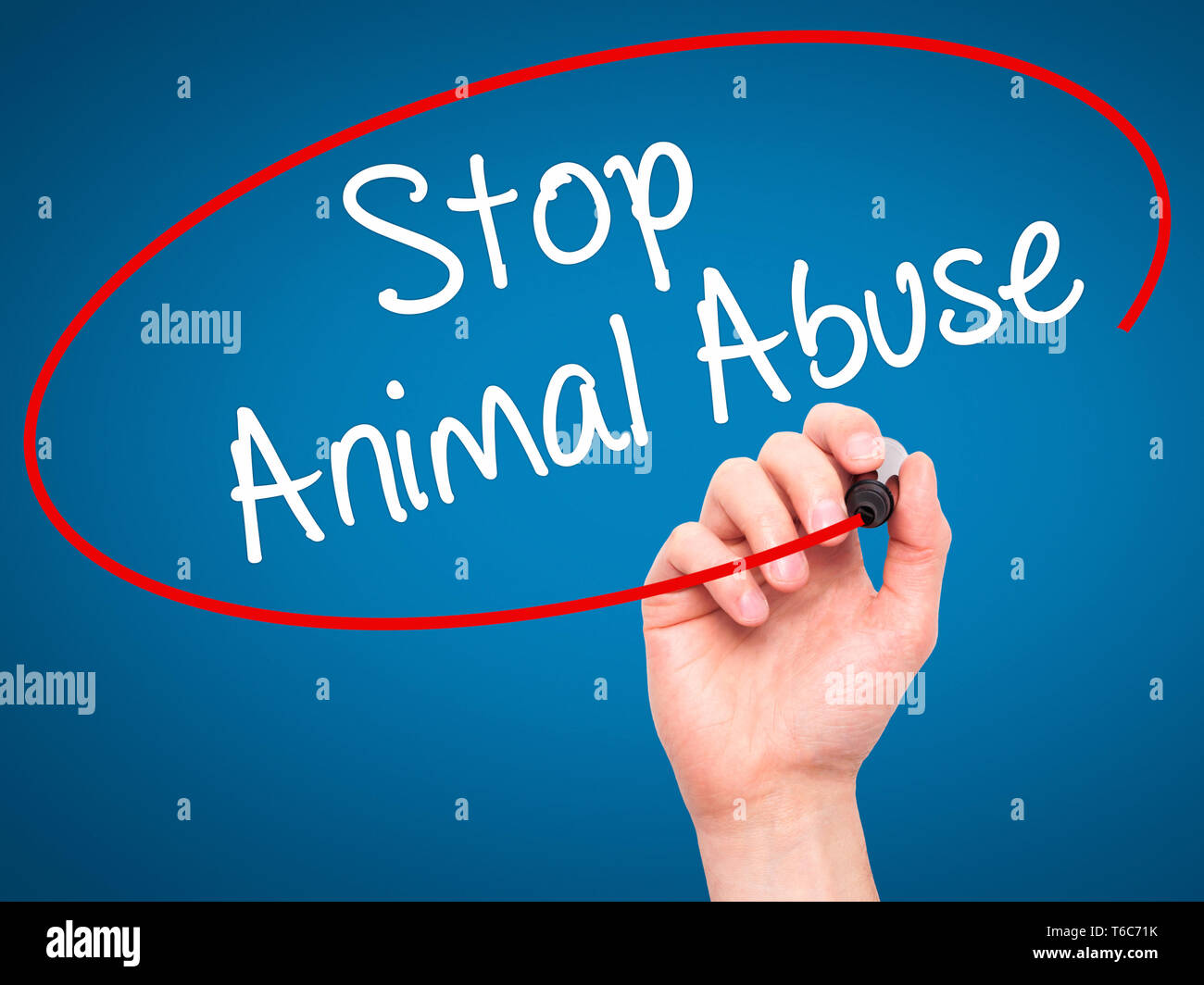 Man Hand writing Stop Animal Abuse with black marker on visual screen ...