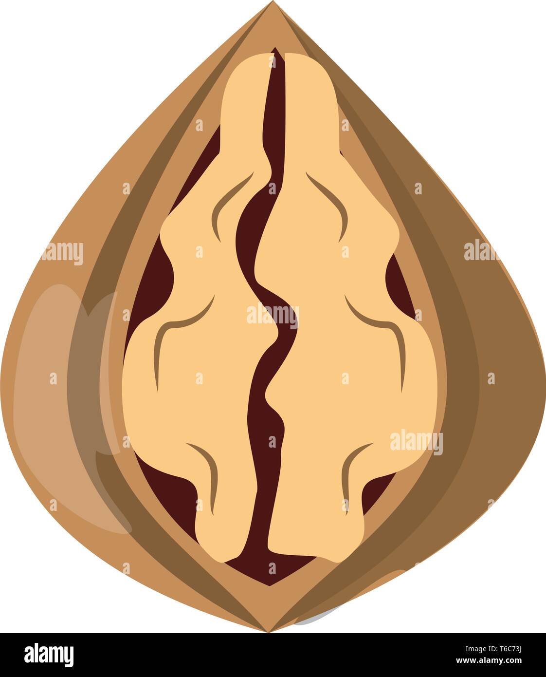 Nuts natural food cartoon Stock Vector Image & Art - Alamy