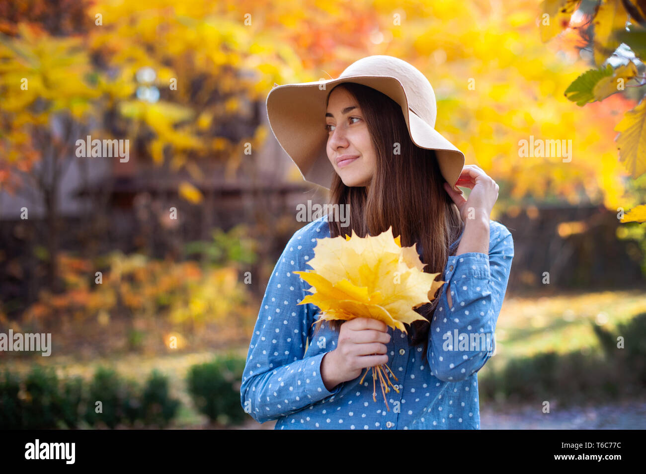 Beautiful woman nature fall hi-res stock photography and images - Alamy