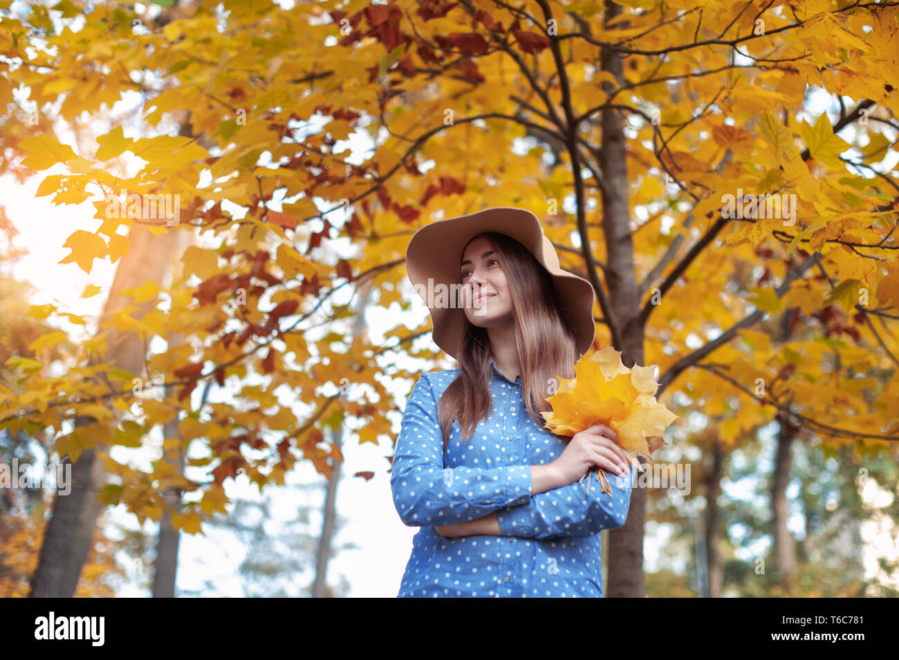 Beautiful woman nature fall hi-res stock photography and images - Alamy