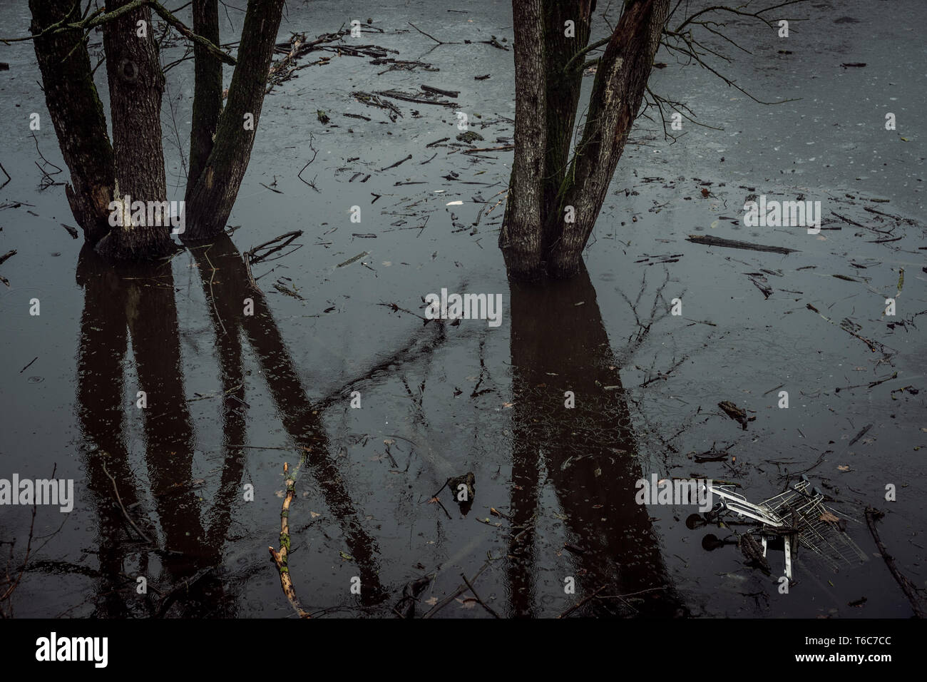 Rotten cart hi-res stock photography and images - Alamy