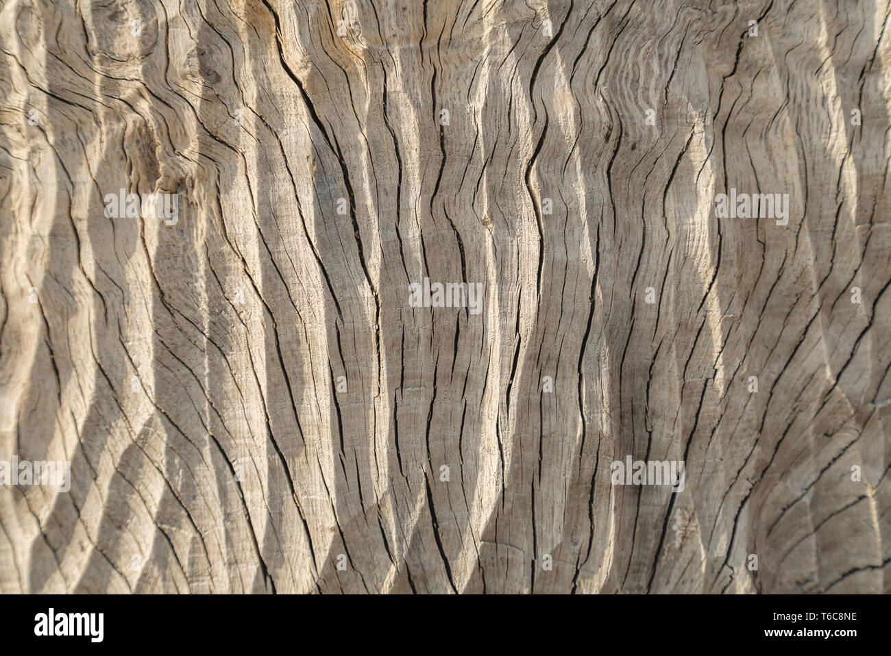 Grooved Driftwood Texture Stock Photo - Alamy