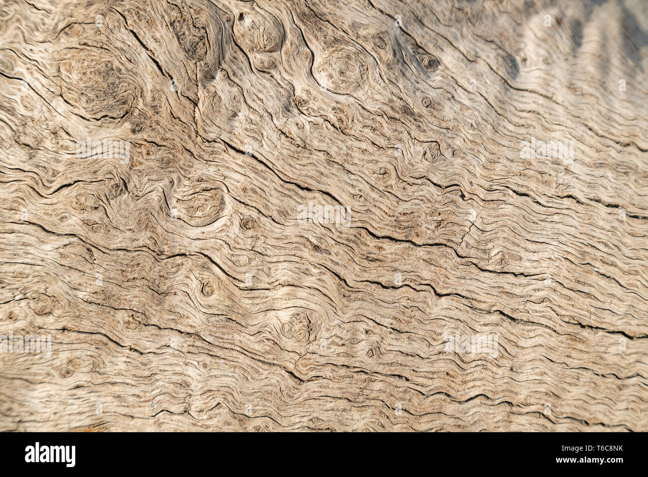 Driftwood Texture