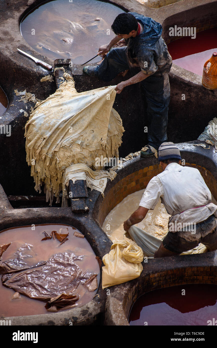 Old tannery in Fez, Morocco Stock Photo - Alamy