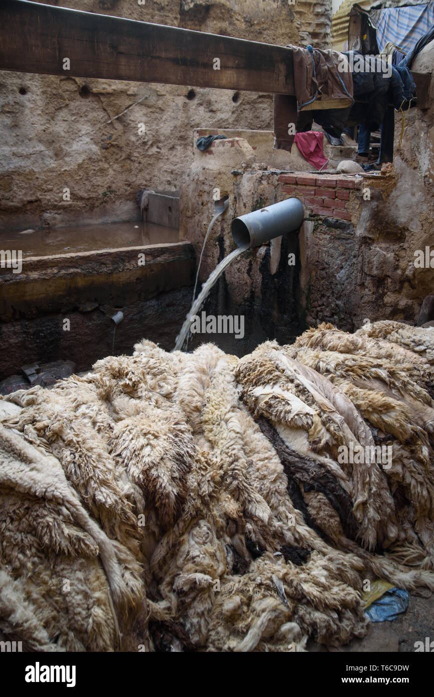 stock JAN 9698.jpg Stock Photo - Alamy