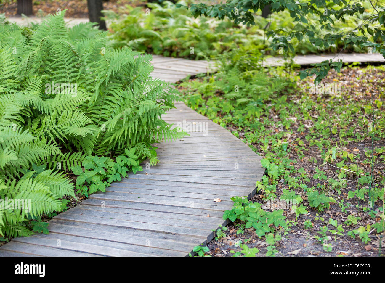Path in parkland hi-res stock photography and images - Alamy