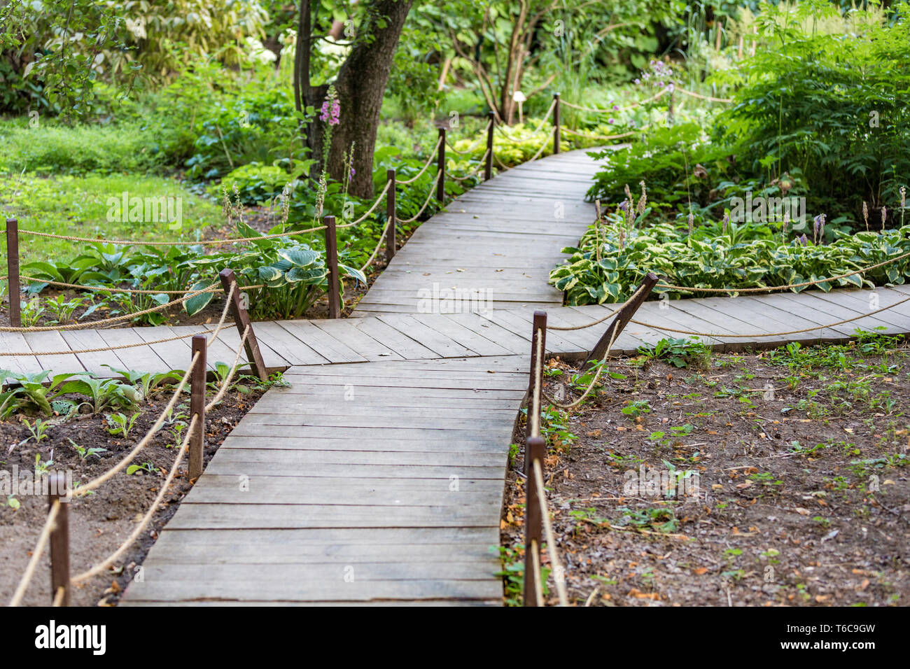 Pedestrians in park hi-res stock photography and images - Alamy