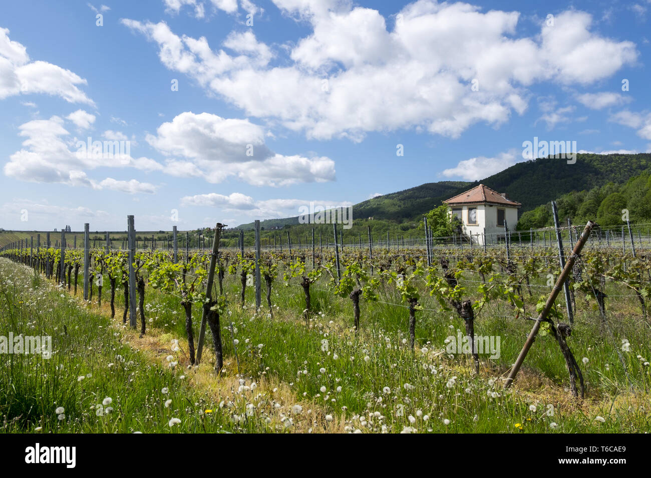 House of fra hi-res stock photography and images - Alamy