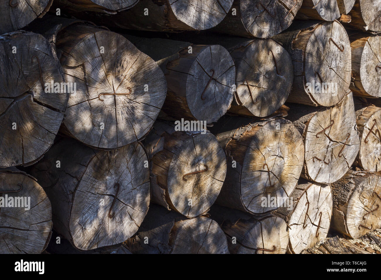 Stacked tree trunks Stock Photo - Alamy