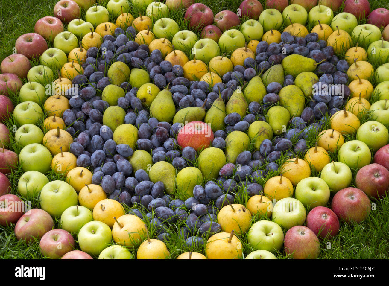 Heart of fruits Stock Photo - Alamy
