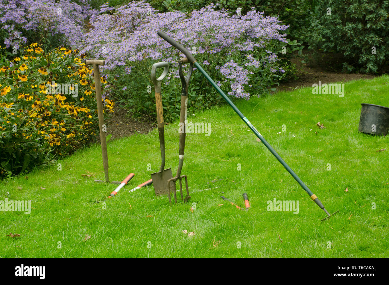 Group tools hi-res stock photography and images - Alamy