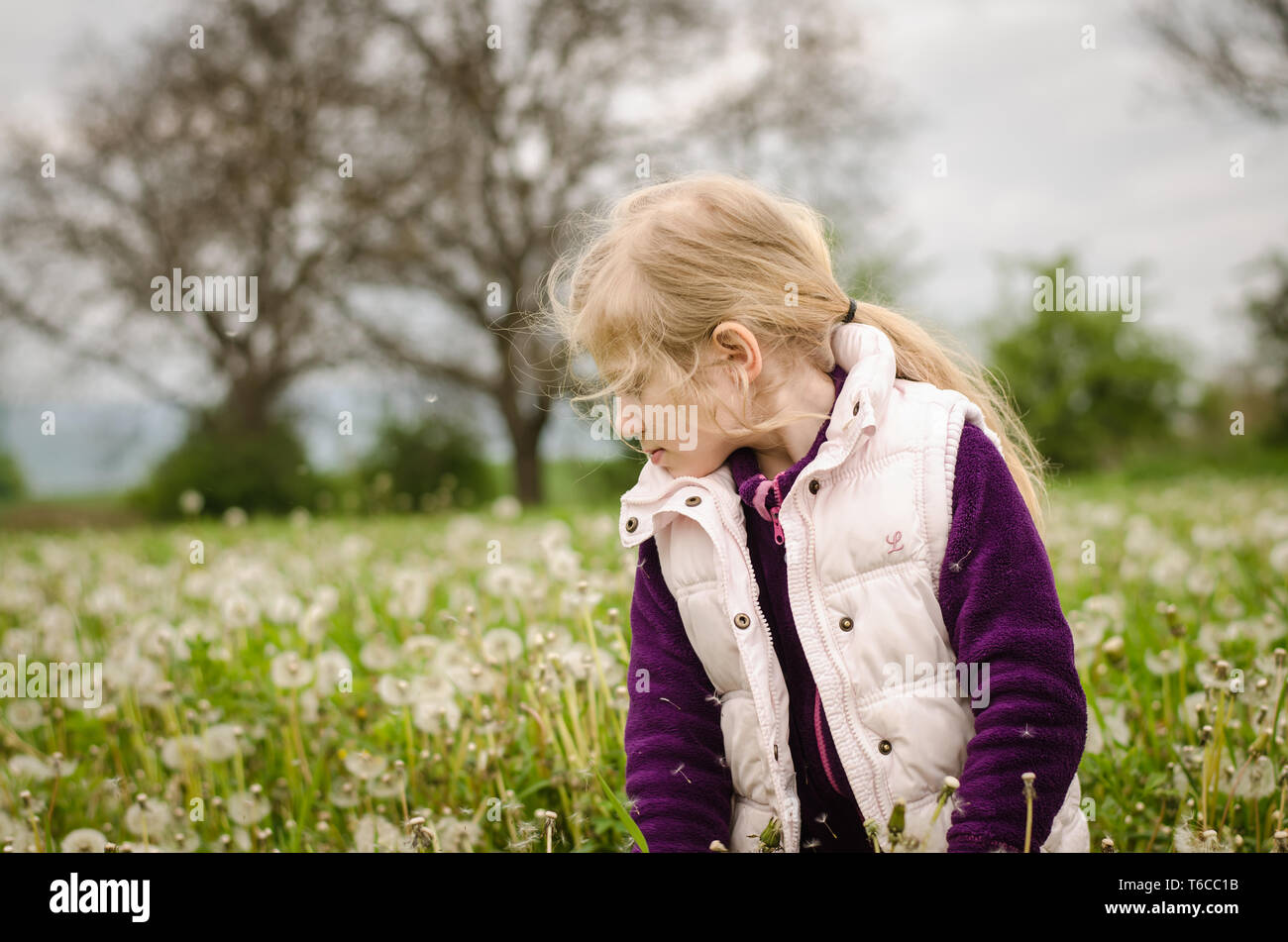 adorable blond girl having fun in spring dandelion field Stock Photo ...