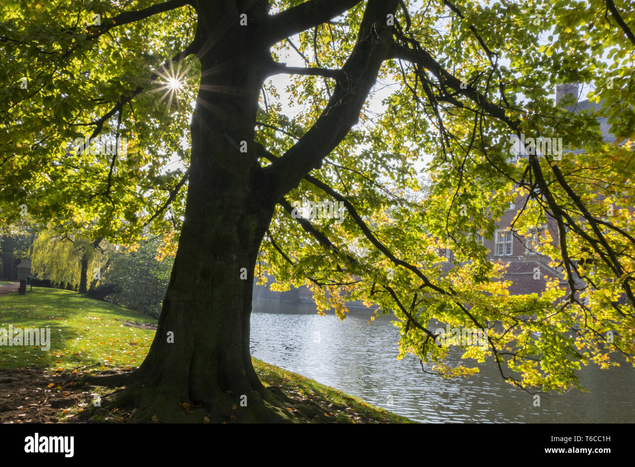 Sun star hi-res stock photography and images - Alamy