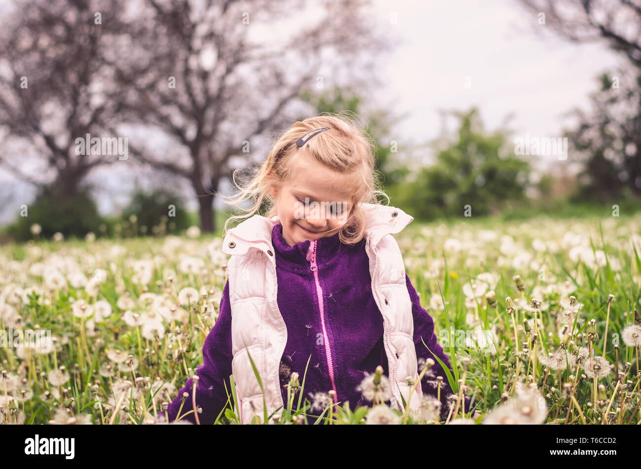 adorable blond girl having fun in spring dandelion field Stock Photo ...