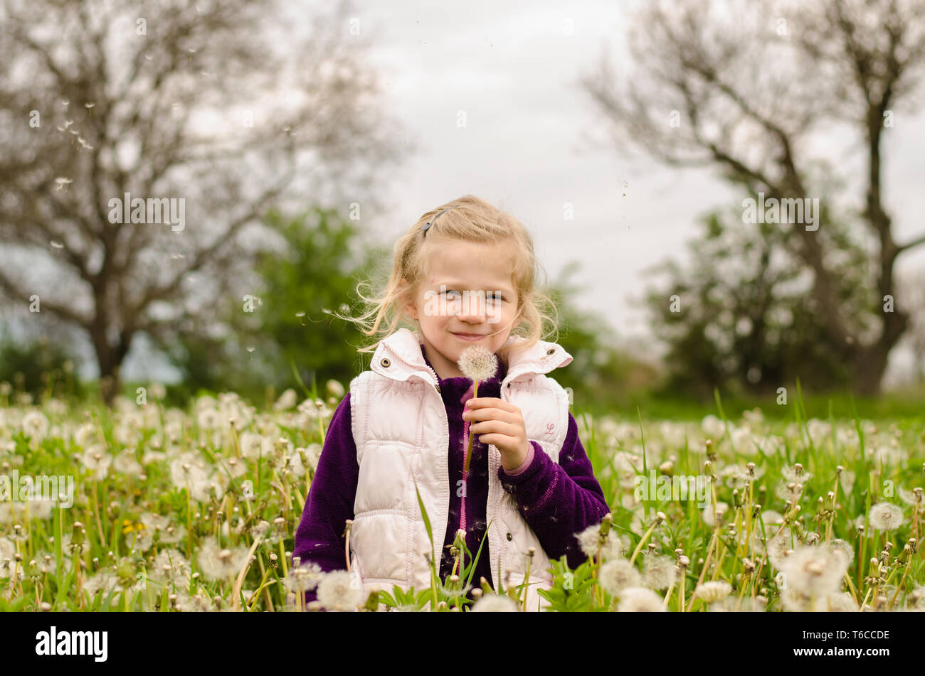 adorable blond girl blowing dandelion flower in beautiful meadow Stock ...