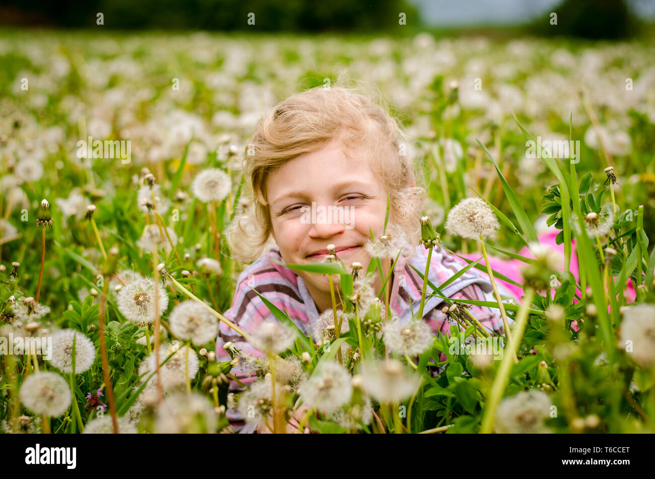 adorable blond girl having fun in spring dandelion field Stock Photo ...