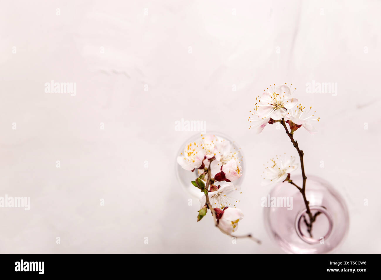 Two small glass modern vases with branches of flowering trees on a ...