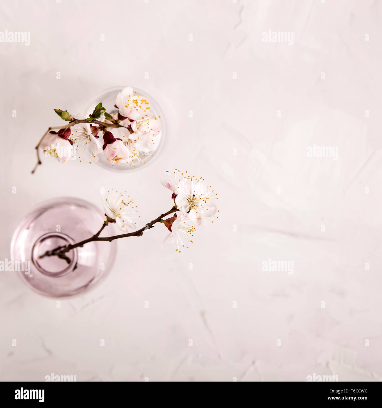 Two small glass modern vases with branches of flowering trees on a ...