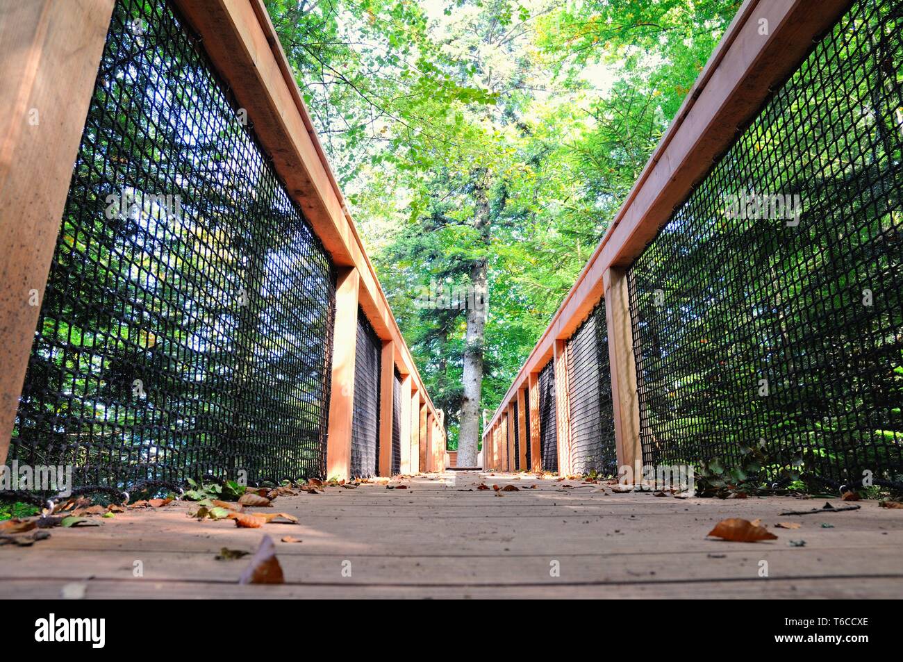 Over treetops hi-res stock photography and images - Alamy