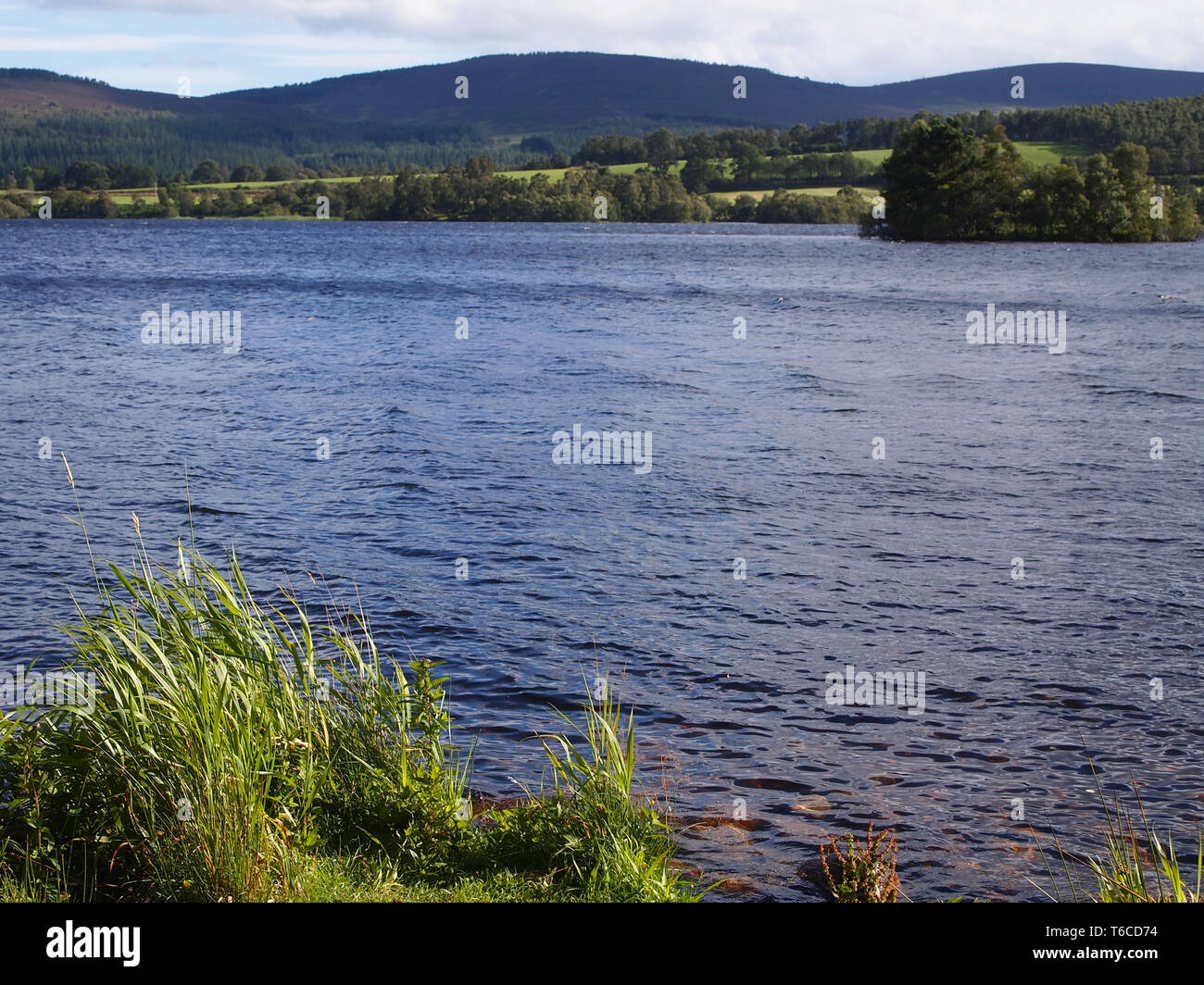 Loch Kinord, in the Muir of Dinnet National Nature Reserve, Scotland ...