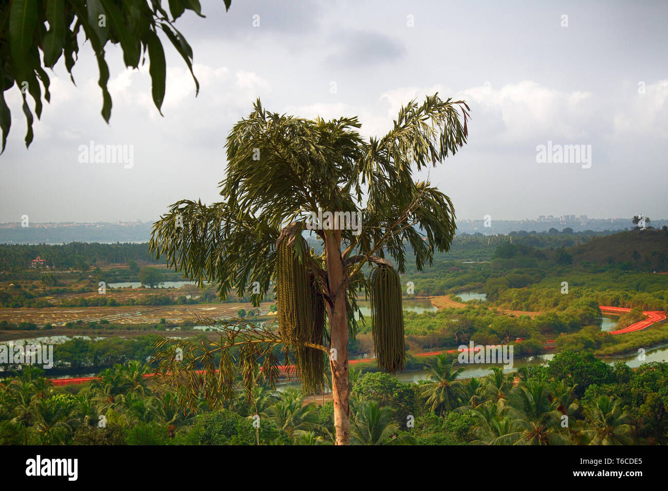Farmer goa india hi-res stock photography and images - Alamy