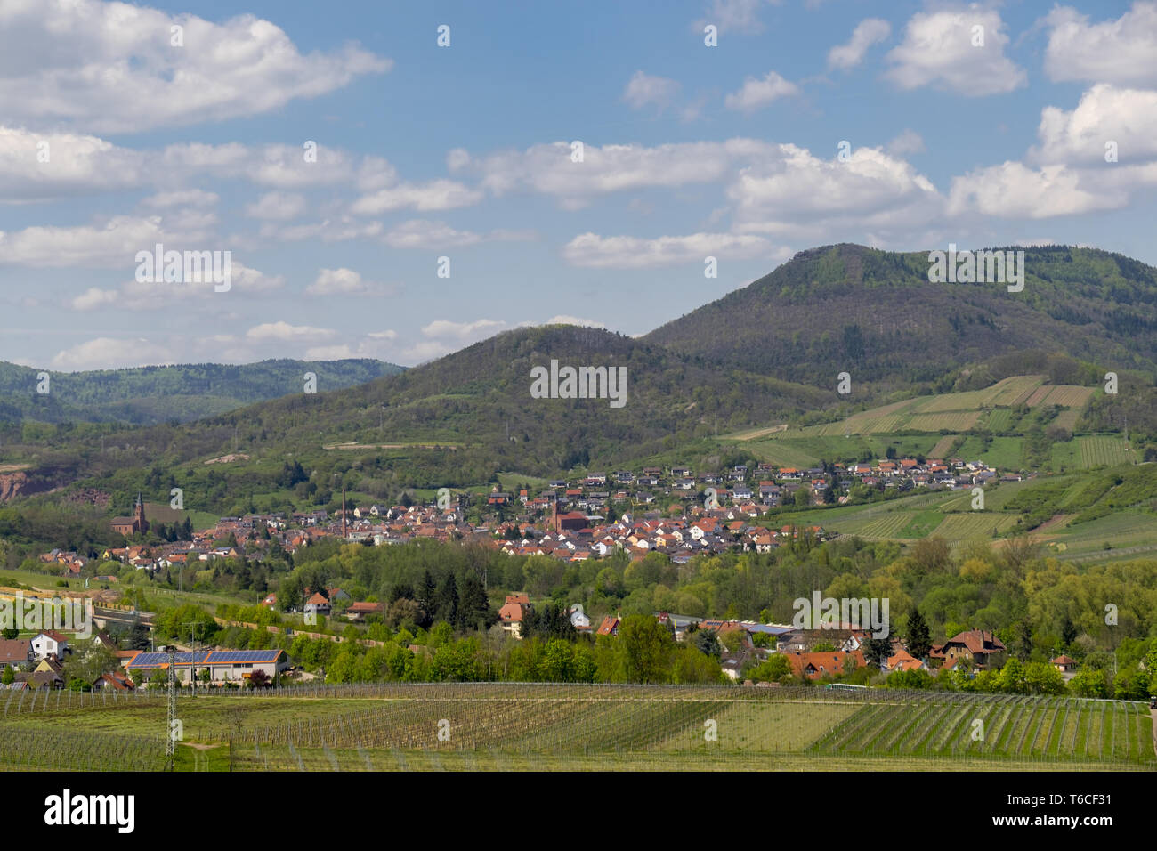 Albersweiler hi-res stock photography and images - Alamy